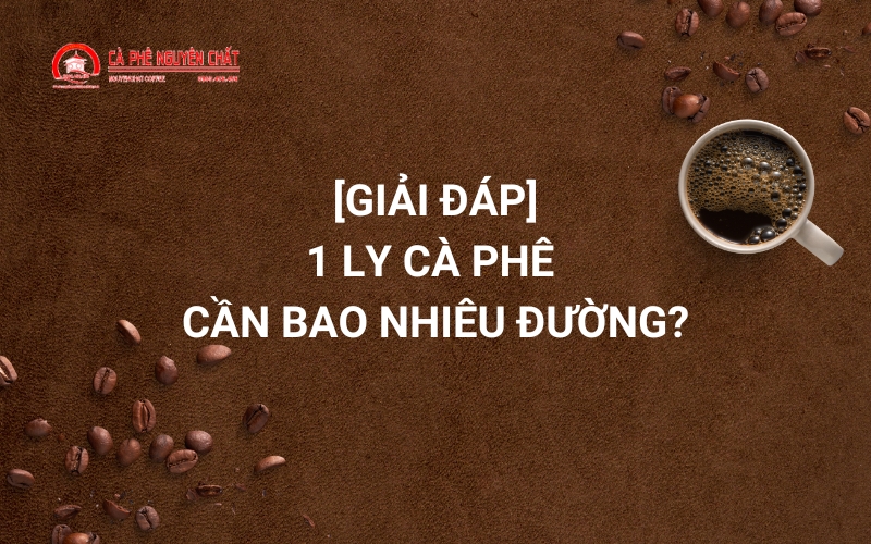 1 Ly Cà Phê Cần Bao Nhiêu Đường? Công Thức Pha Cafe Ngon